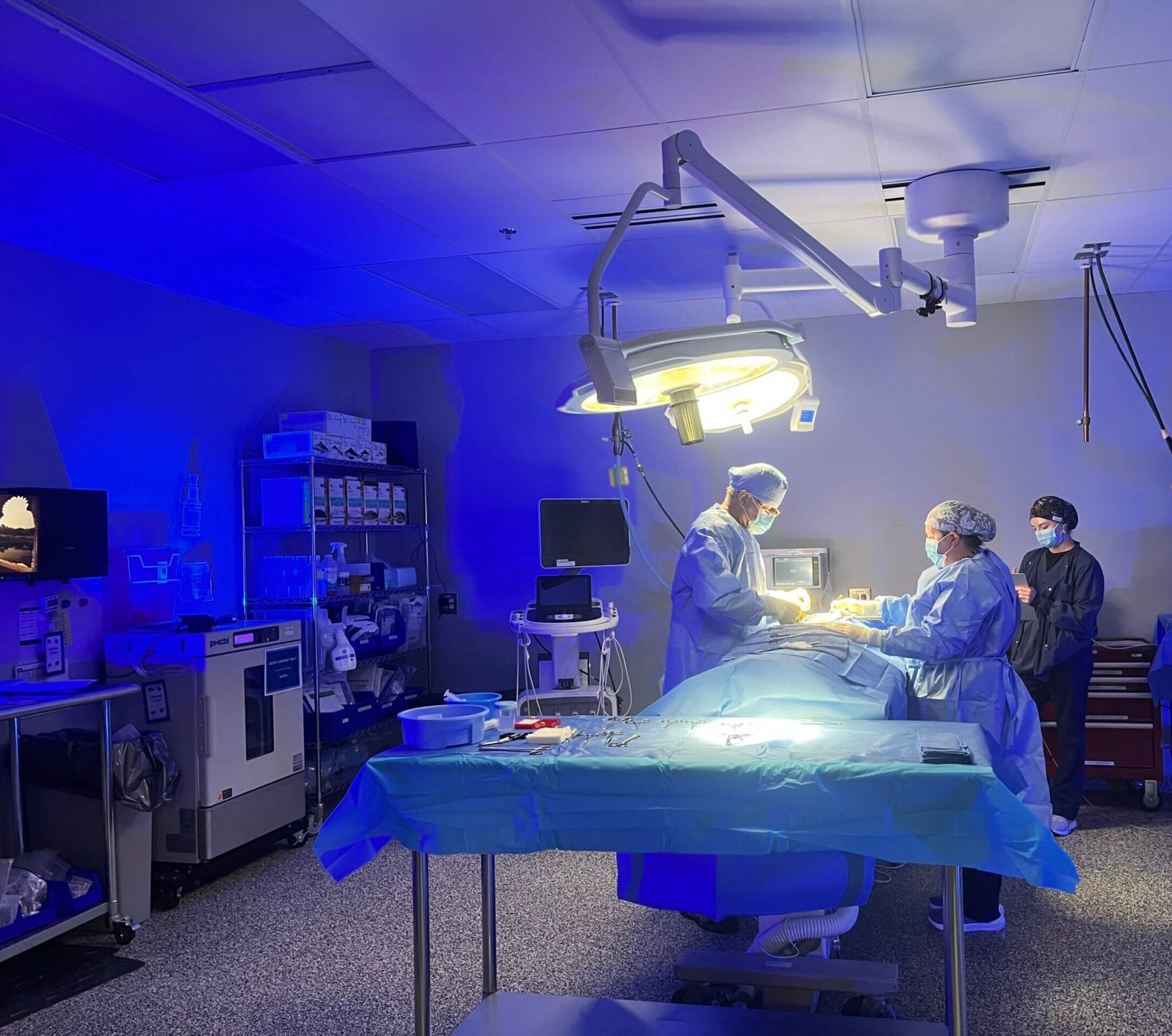 Evaluating a Medical Device Preclinical CRO Effectively - NAMSA